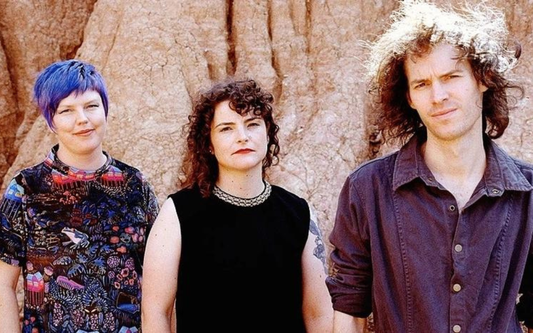 The Sound Doctor: Cable Ties – Business Anglesea